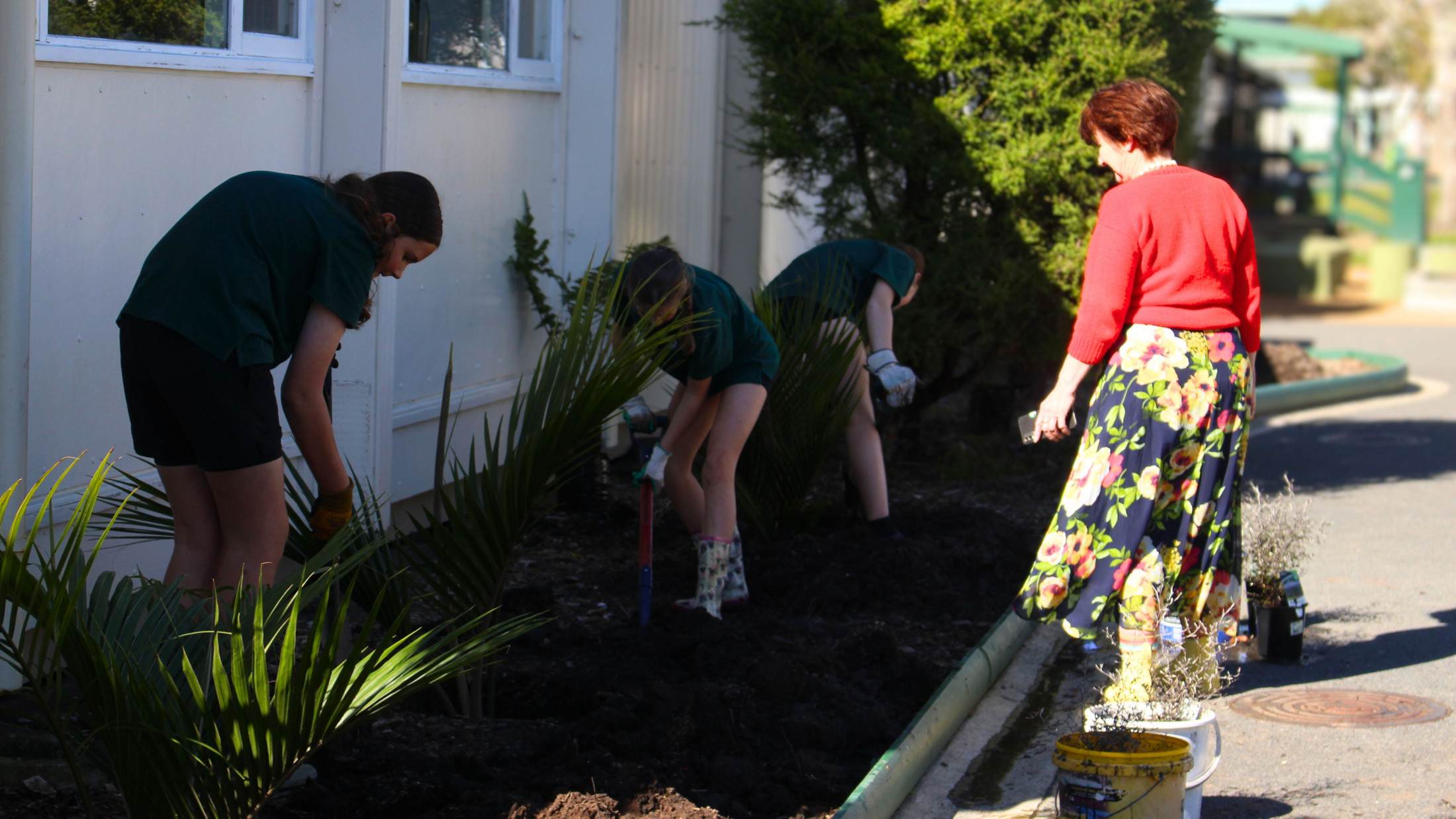 Orewa College