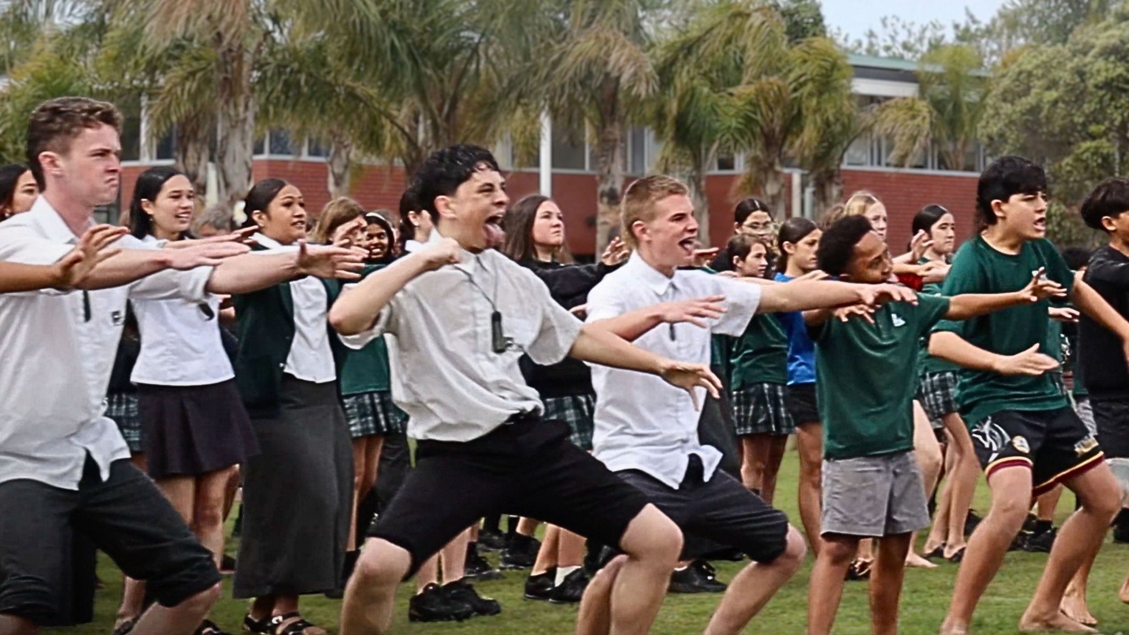 Orewa College Unveils New School Haka Tautoko During Te Wiki o te Reo Māo